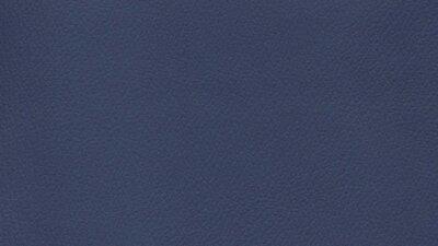 HSS500 Surgical Stool – Hausted Patient Handling Solutions